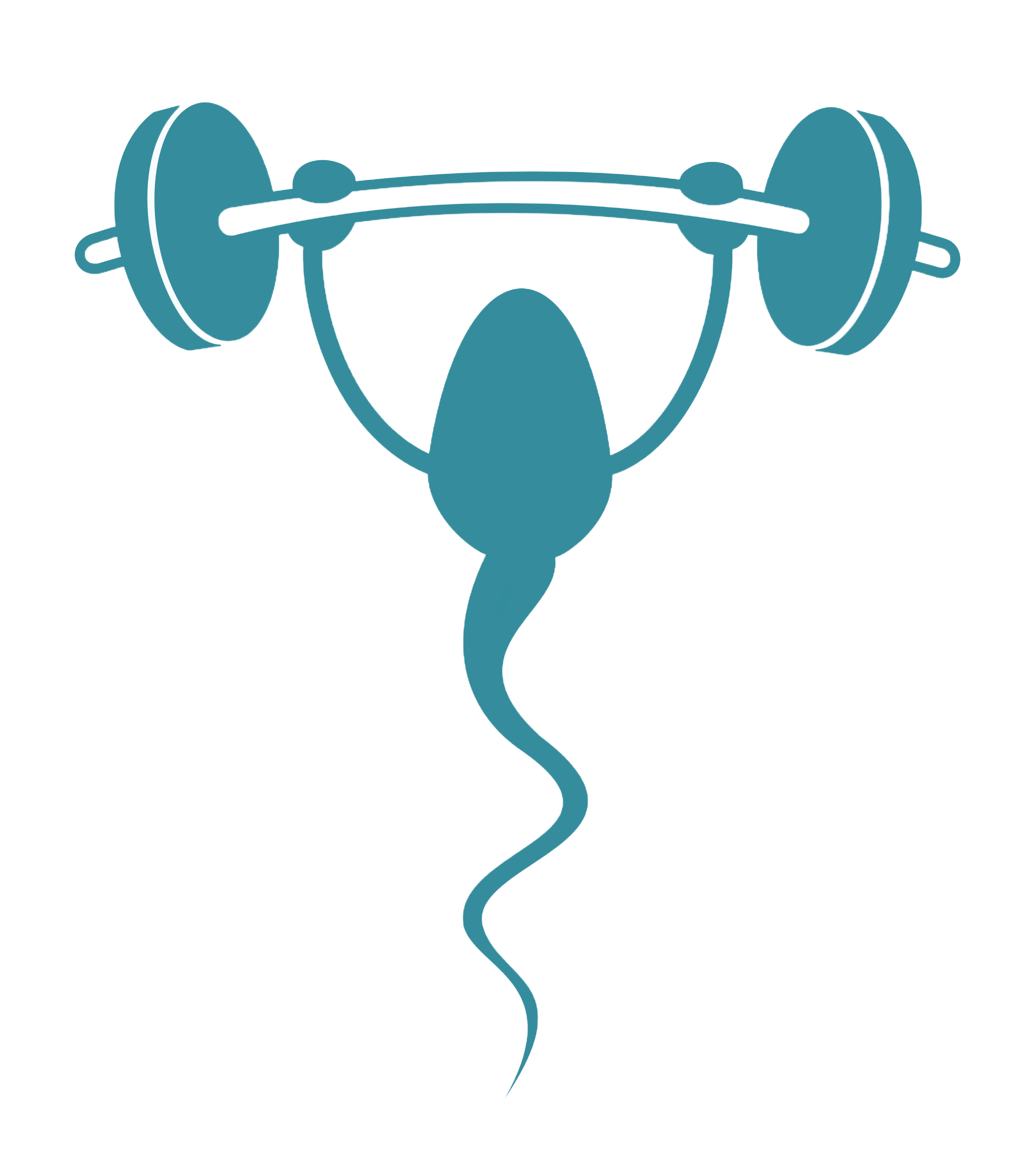 Tea for Guys - Enhance Male Vitality & Wellness Naturally – Tea For Guys